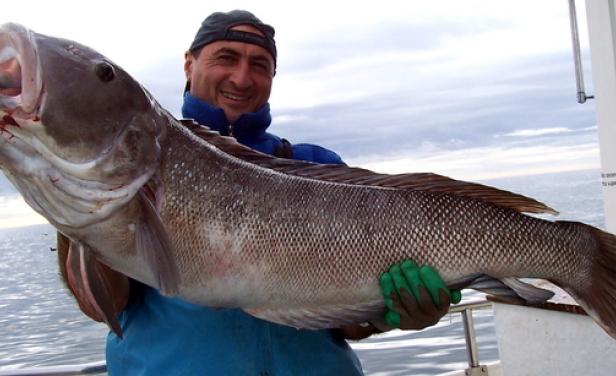 chernia – Visión Marítima