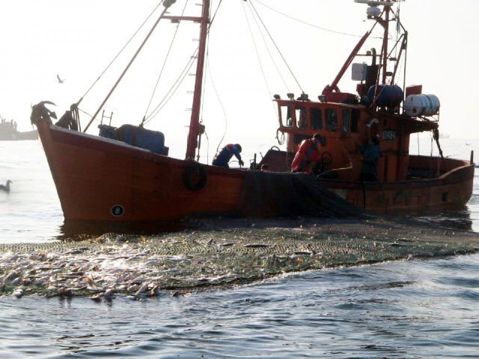 pesca de corvina – Visión Marítima