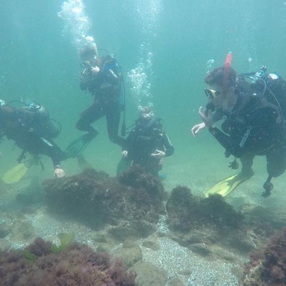 donde bucear – Visión Marítima