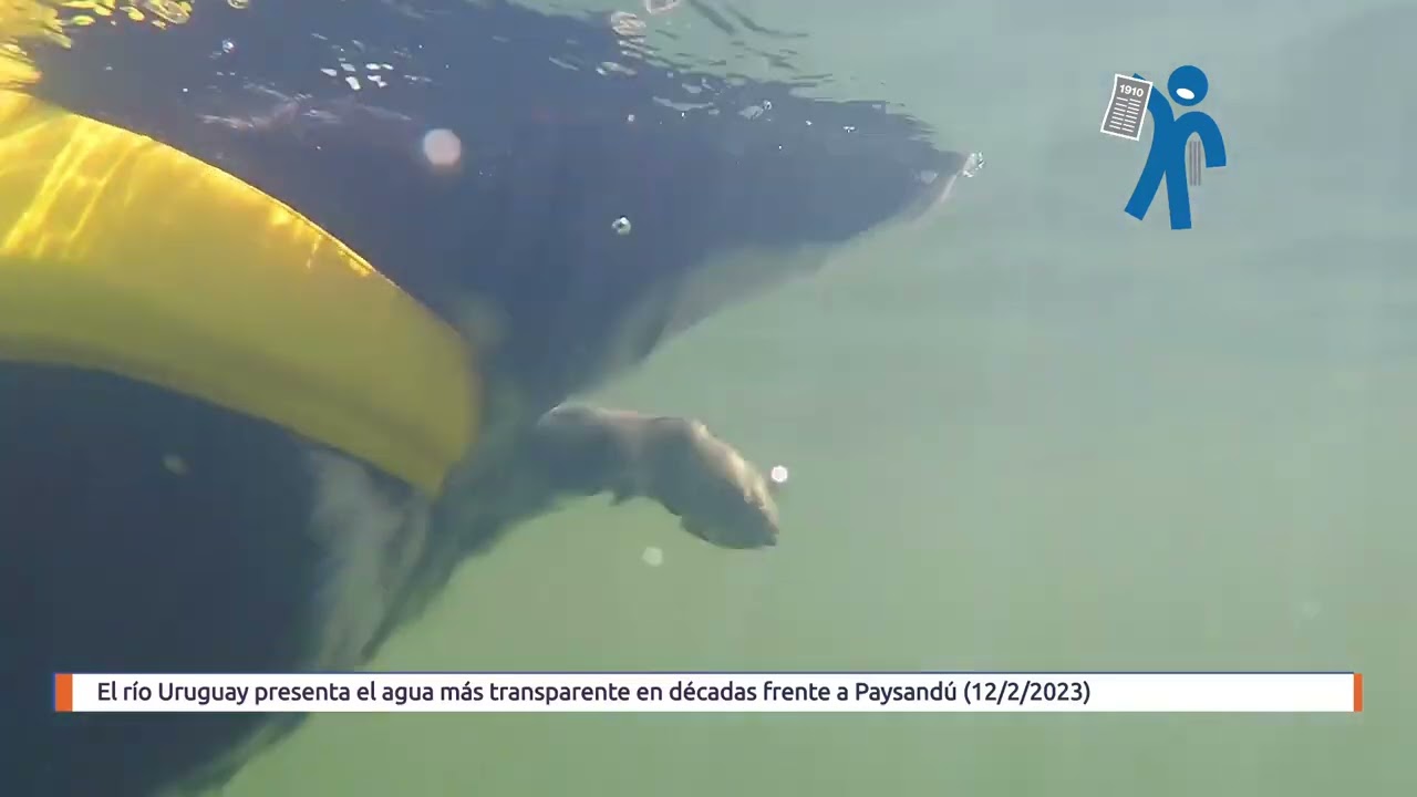 El agua más transparente en décadas – Visión Marítima